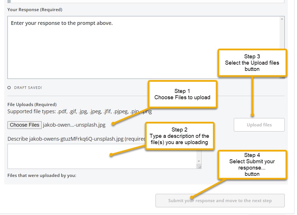 Open Response Assessments Common Problems